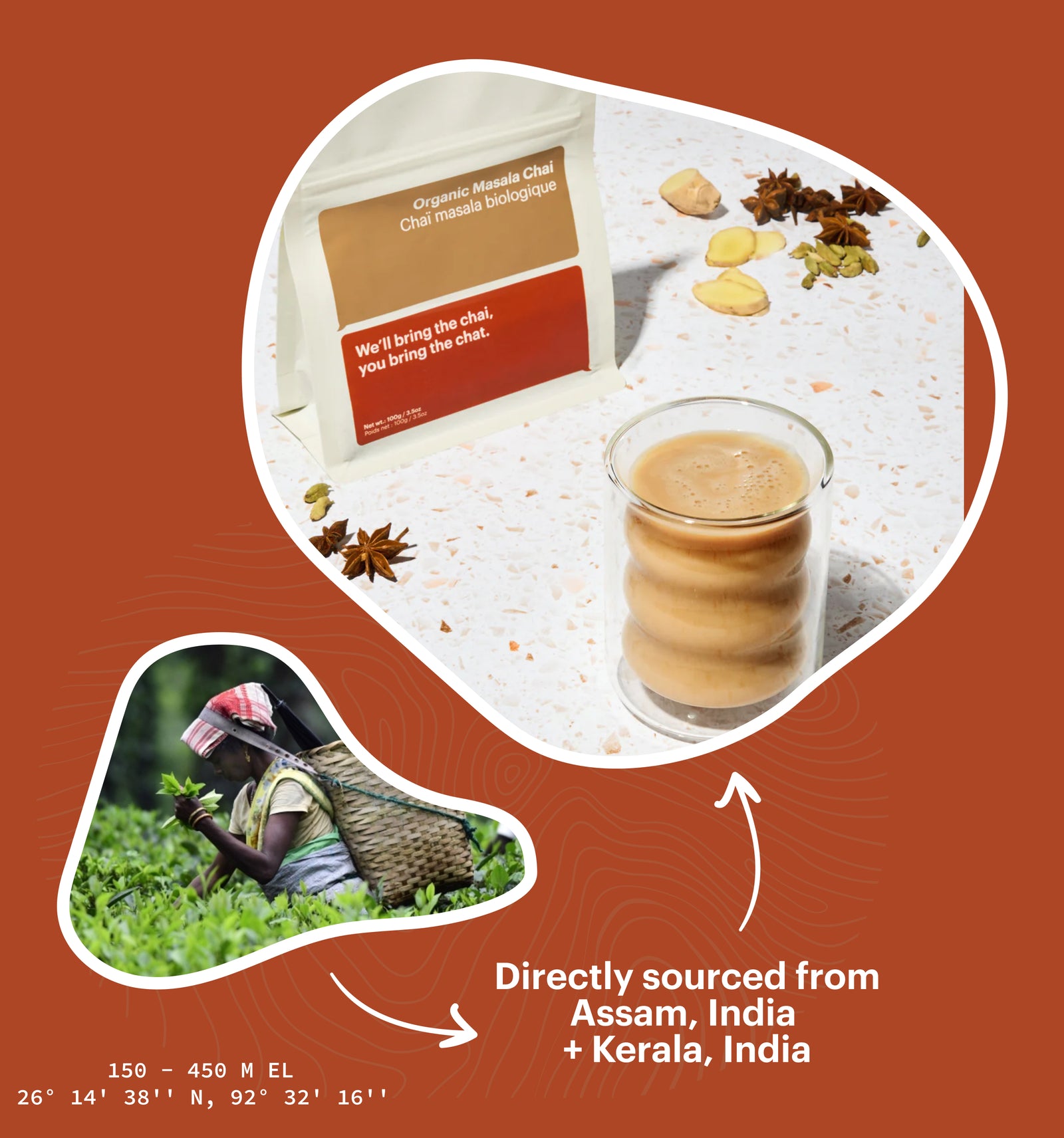 Organic Masala Chai - Authentic Spiced Black Tea | Habit Tea