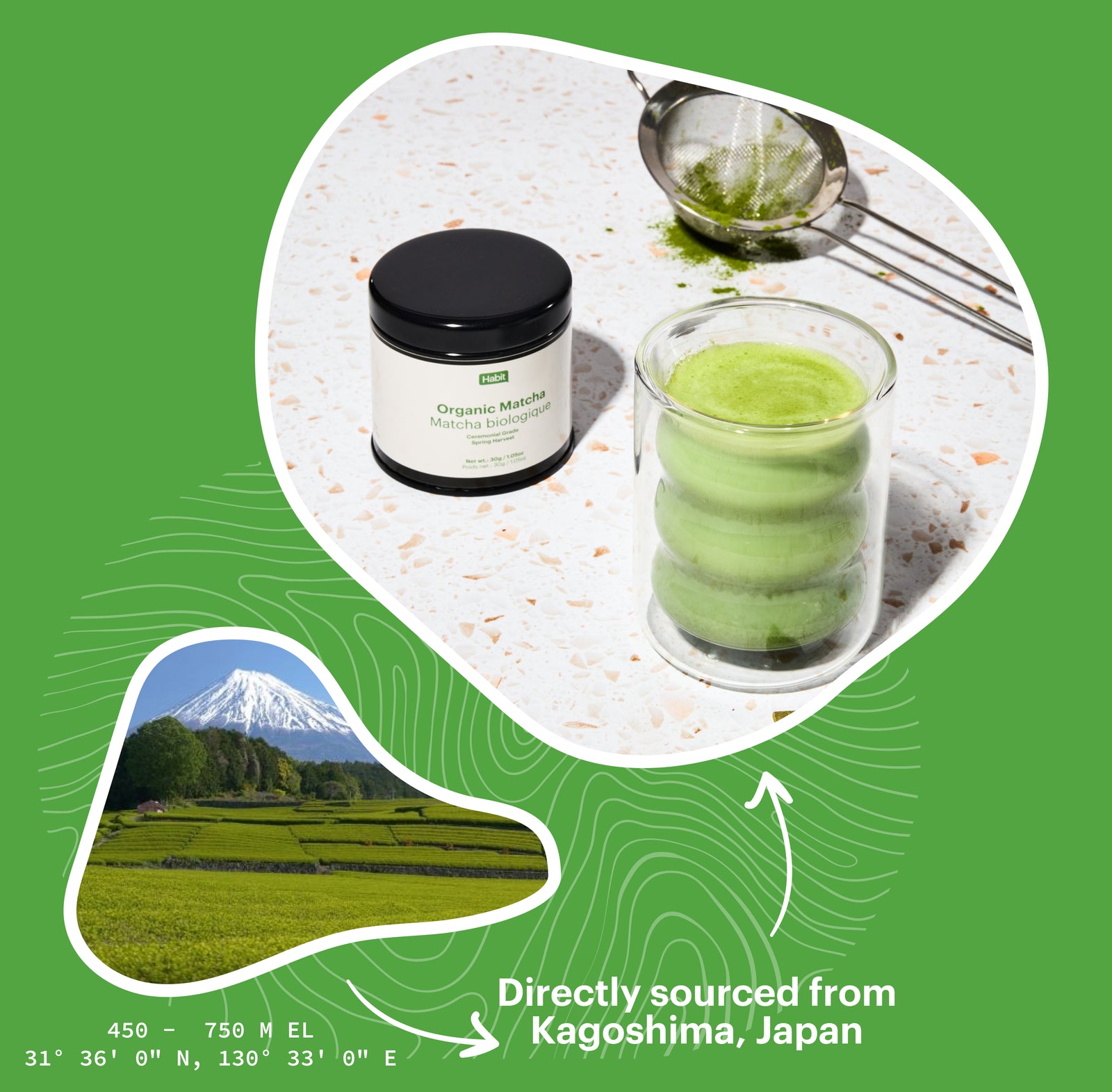 Organic Matcha Green Tea